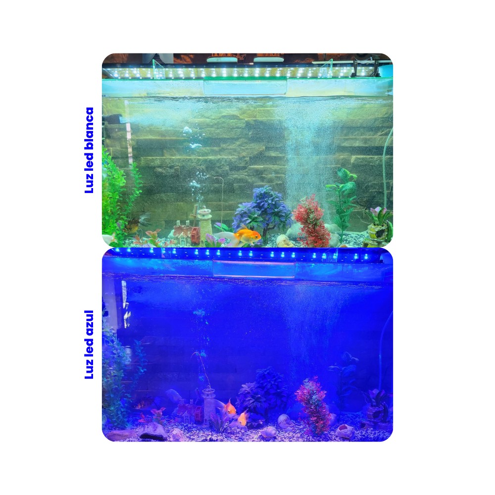 Plafon Dee-led900 - Acuario Acuaworld